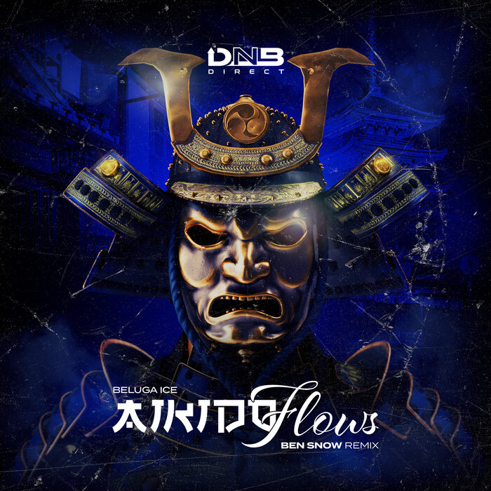 Aikido Flows (Ben Snow Remix) by Beluga Ice on MP3, WAV, FLAC, AIFF ...