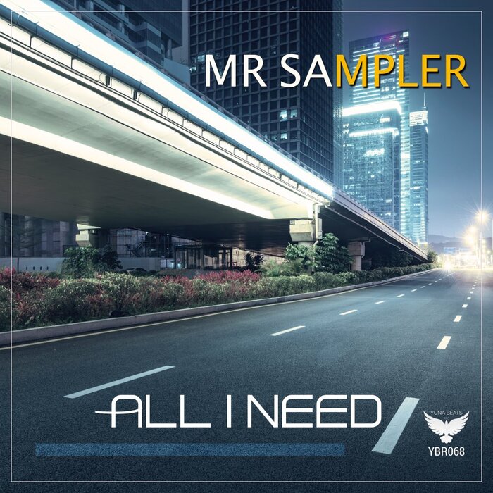 All I Need by Mr Sampler on MP3, WAV, FLAC, AIFF & ALAC at Juno Download