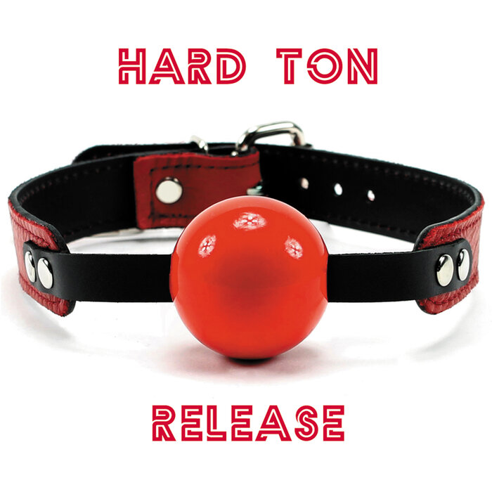 Release by Hard Ton on MP3, WAV, FLAC, AIFF & ALAC at Juno Download