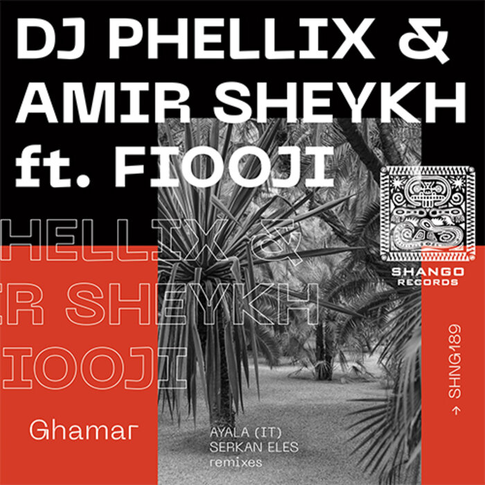 Ghamar by DJ Phellix/Amir Sheykh feat Fiooji on MP3, WAV, FLAC, AIFF ...
