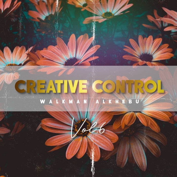 Creative Control (Vol. 6) by Walkman Alkhebu on MP3, WAV, FLAC, AIFF ...