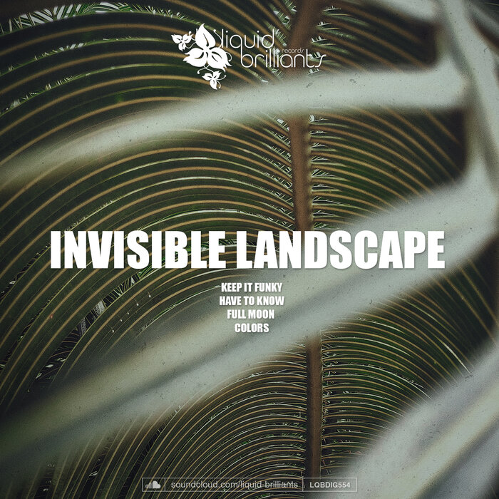 Keep It Funky by Invisible Landscape on MP3, WAV, FLAC, AIFF & ALAC at Juno Download