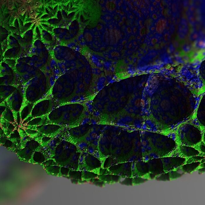 Diversity by hmm:k on MP3, WAV, FLAC, AIFF & ALAC at Juno Download