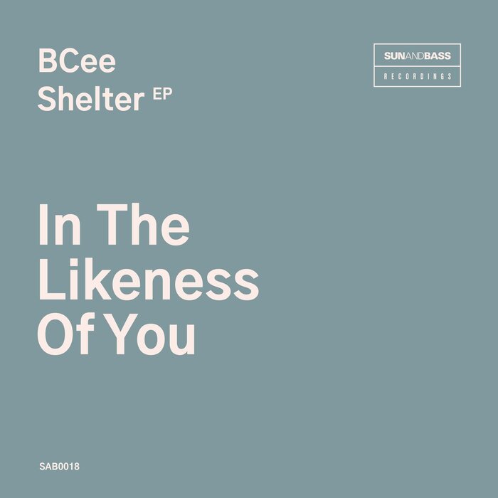 In The Likeness Of You by Bcee on MP3, WAV, FLAC, AIFF & ALAC at Juno ...