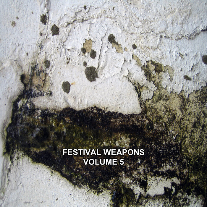 Various: Festival Weapons, Vol 5 at Juno Download