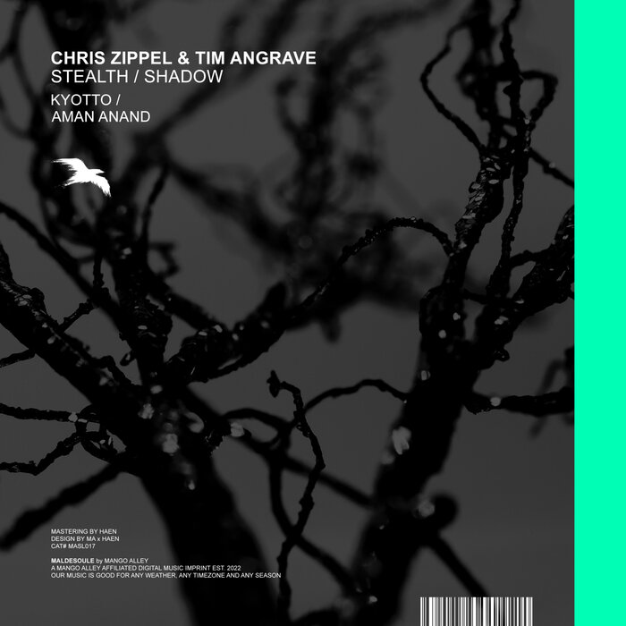 Stealth / Shadow by Chris Zippel/Tim Angrave on MP3, WAV, FLAC, AIFF ...
