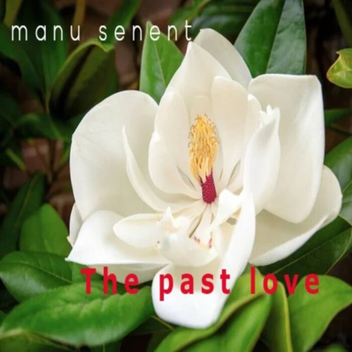 The Past Love by Manu Senent on MP3, WAV, FLAC, AIFF & ALAC at Juno ...