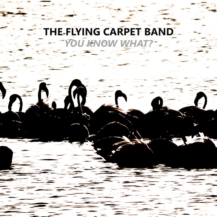 You Know What? by The Flying Carpet Band on MP3, WAV, FLAC, AIFF & ALAC ...