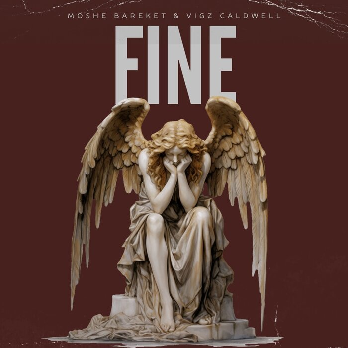 Fine by Moshe Bareket/Vigz Caldwell on MP3, WAV, FLAC, AIFF & ALAC at ...