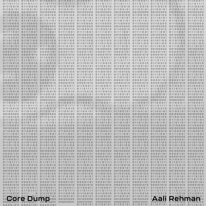 Core Dump EP by .aali on MP3, WAV, FLAC, AIFF & ALAC at Juno Download