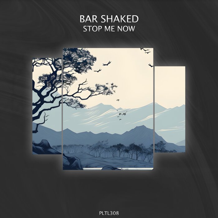Stop Me Now by Bar Shaked on MP3, WAV, FLAC, AIFF & ALAC at Juno Download