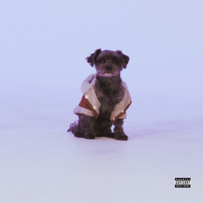 The Weekend by Toeknee Tee on MP3, WAV, FLAC, AIFF & ALAC at Juno Download