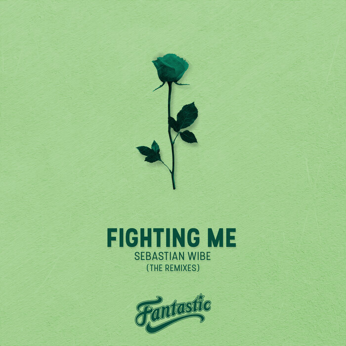 Fighting Me (Remixes) by Sebastian Wibe on MP3, WAV, FLAC, AIFF & ALAC ...