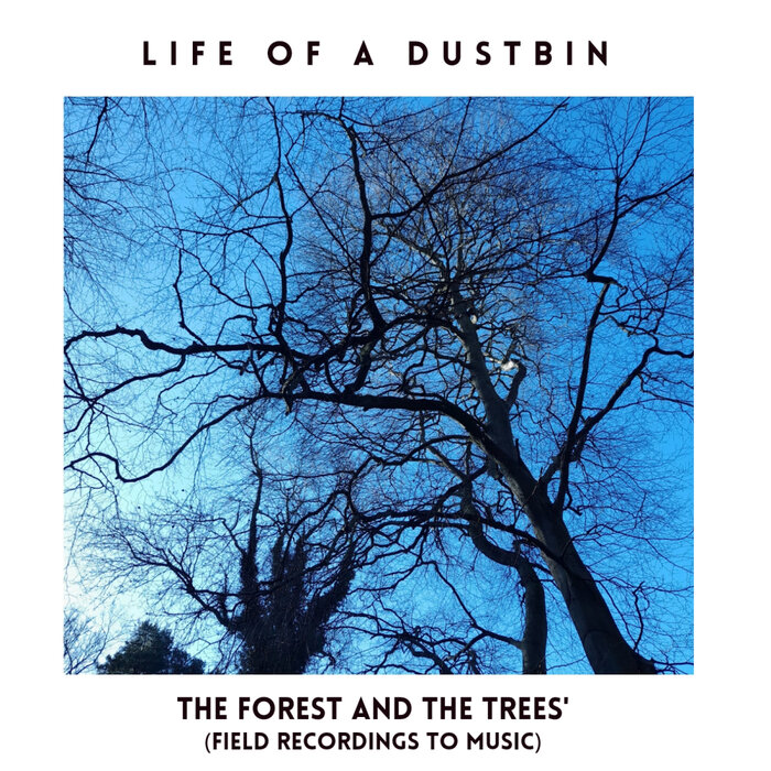 The Forest And The Trees (Field Recordings With Music) by Life Of A ...