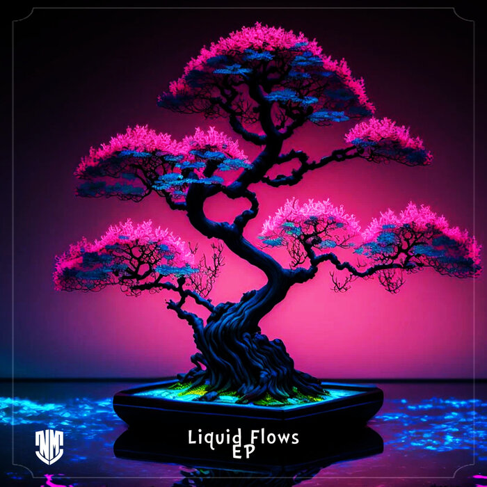 Liquid Flows by Nolan Mac on MP3, WAV, FLAC, AIFF & ALAC at Juno Download