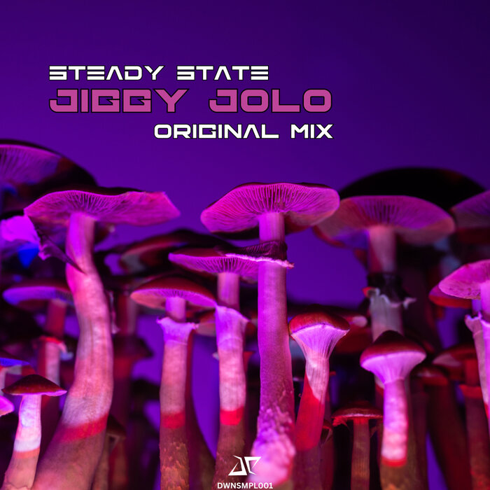 Jiggy Jolo by Steady State (Rsa) on MP3, WAV, FLAC, AIFF & ALAC at Juno Download
