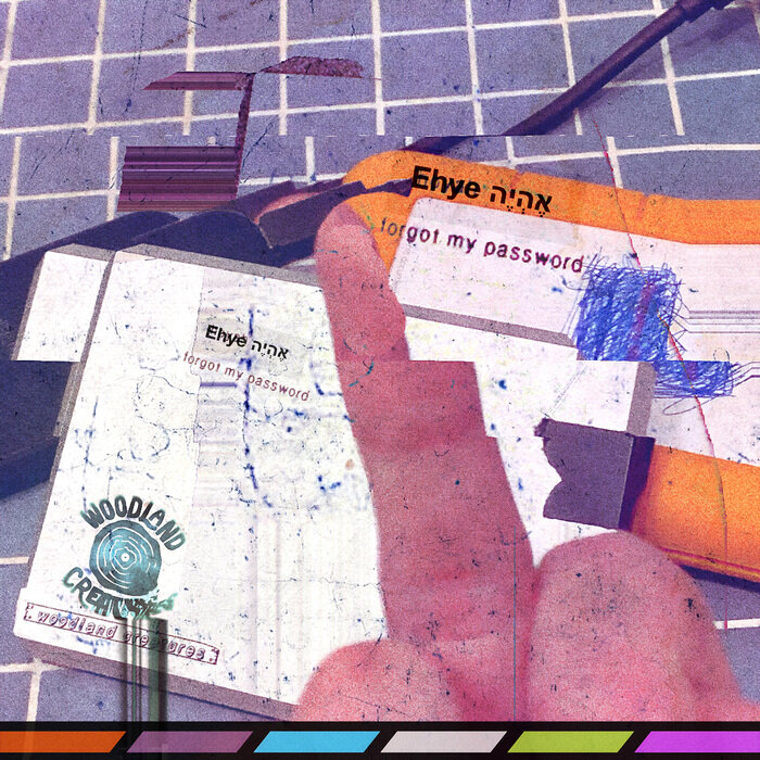 Forgot My Password by Ehye on MP3, WAV, FLAC, AIFF & ALAC at Juno Download