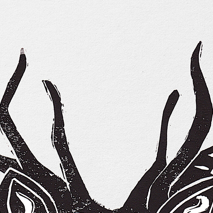 Sinking Ship II by Alpha Steppa feat Fikir Amlak on MP3, WAV, FLAC, AIFF & ALAC at Juno Download