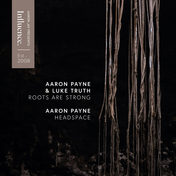 Roots Are Strong / Headspace by Aaron Payne on MP3, WAV, FLAC, AIFF & ALAC at Juno Download