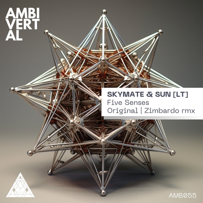 Five Senses by Skymate/Sun [LT] on MP3, WAV, FLAC, AIFF & ALAC at Juno ...