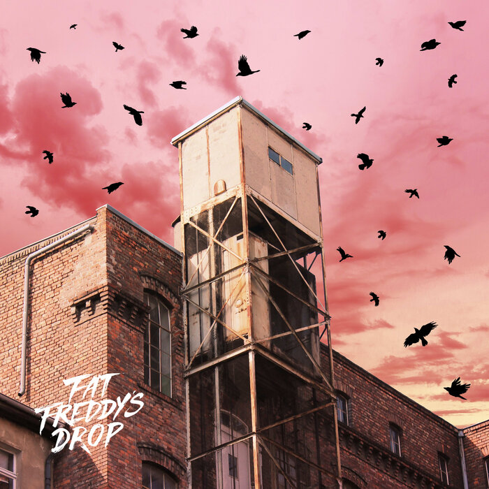 Soldier by Jazzanova/Fat Freddy s Drop on MP3, WAV, FLAC, AIFF & ALAC ...