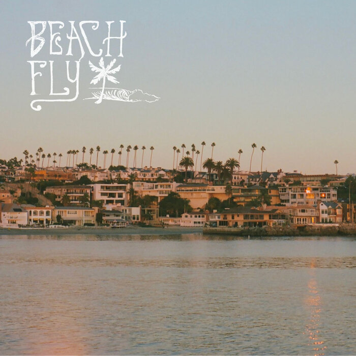 Breaking News by Beach Fly/Man of the Forests on MP3, WAV, FLAC, AIFF ...