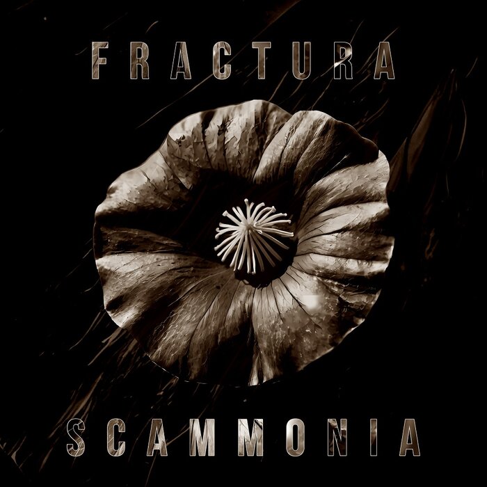 Scammonia by Fractura on MP3, WAV, FLAC, AIFF & ALAC at Juno Download