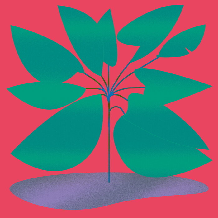 Various: On Board 10 at Juno Download