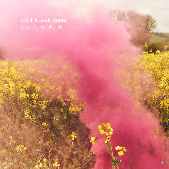 CAIT/Josh Butler - Something Like Dis! on Juno Download | MP3, WAV, FLAC