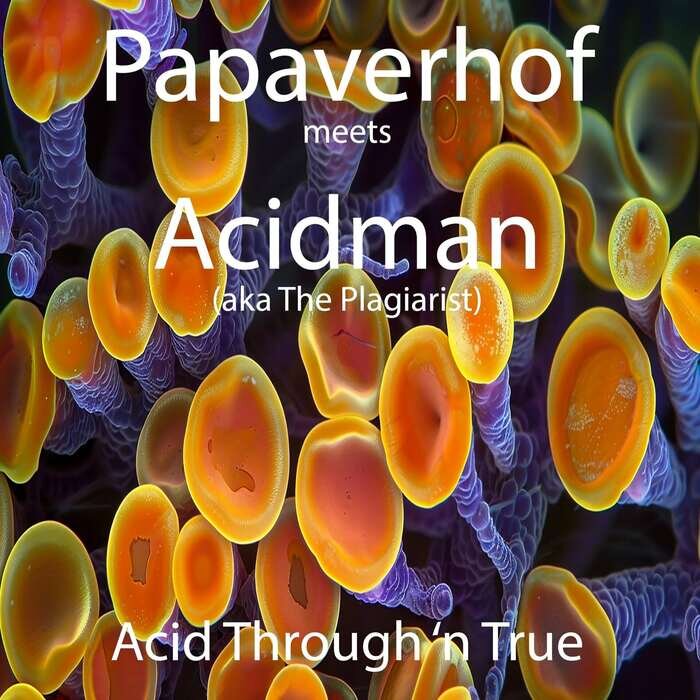 Papaverhof meets Acidman aka The Plagiarist - Acid Through'n True on ...
