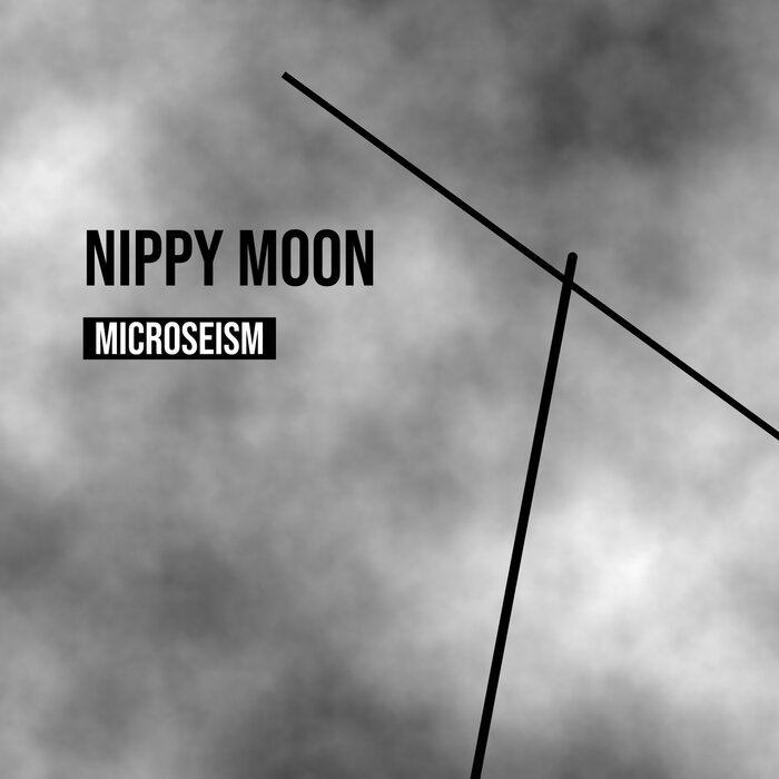 Nippy Moon - Microseism on Juno Download | MP3, WAV, FLAC